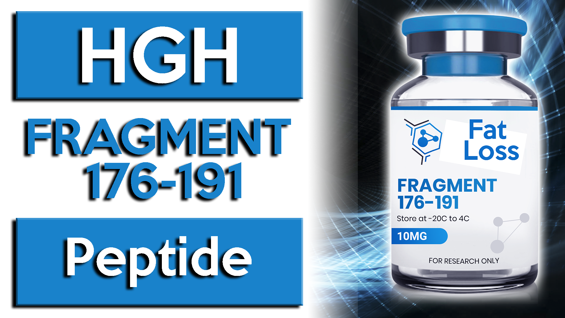 HGH Frag 176-191 Key to Fat Loss and Cartilage Repair? Human Growth ...