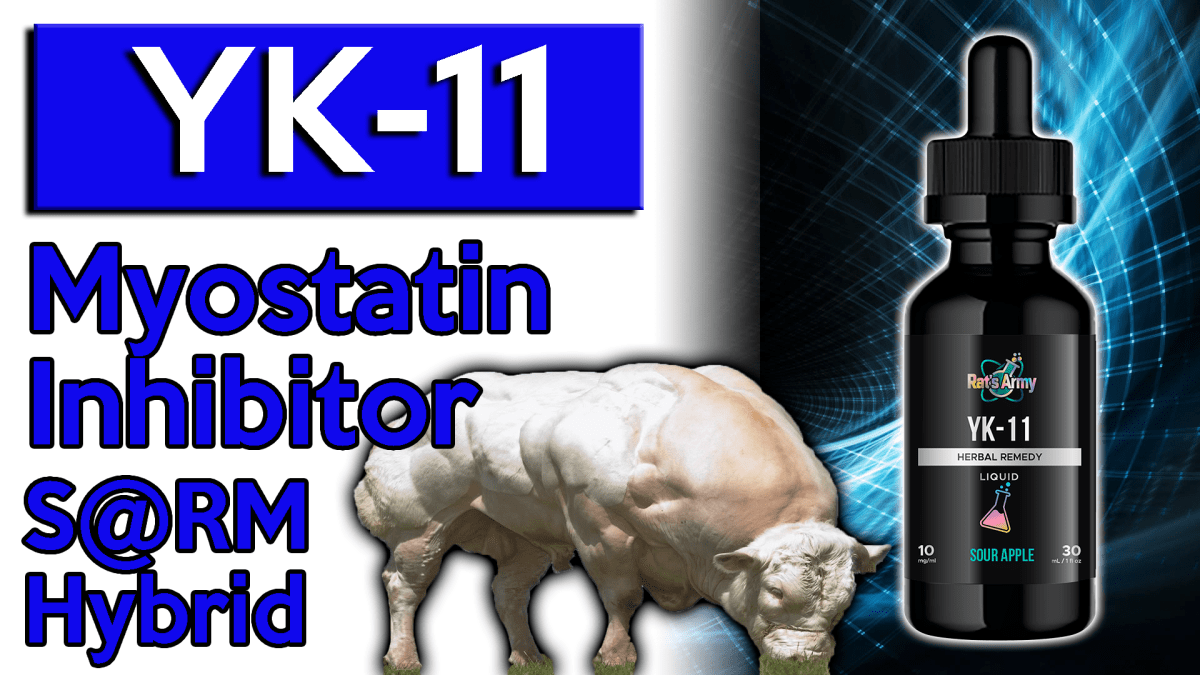 YK-11 Myostine – Benefits, Sides & Half Life | Myostatin Inhibitor ...